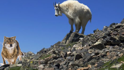 A moral story of the wolf and the goat - Fables Book